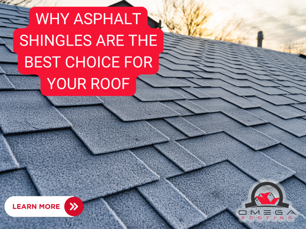 Why Asphalt Shingles are the Best Choice for Your Roof - Omega Roofing, LLC